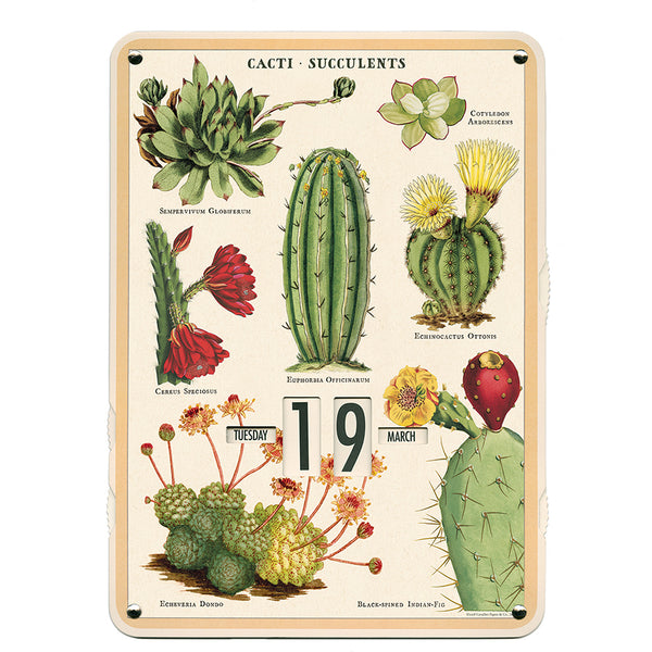 Perpetual Calendar | Succulents - Jardin Floral Design